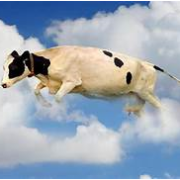 A Cow Fell From Heaven (Glen Young) - Seeking Things Above